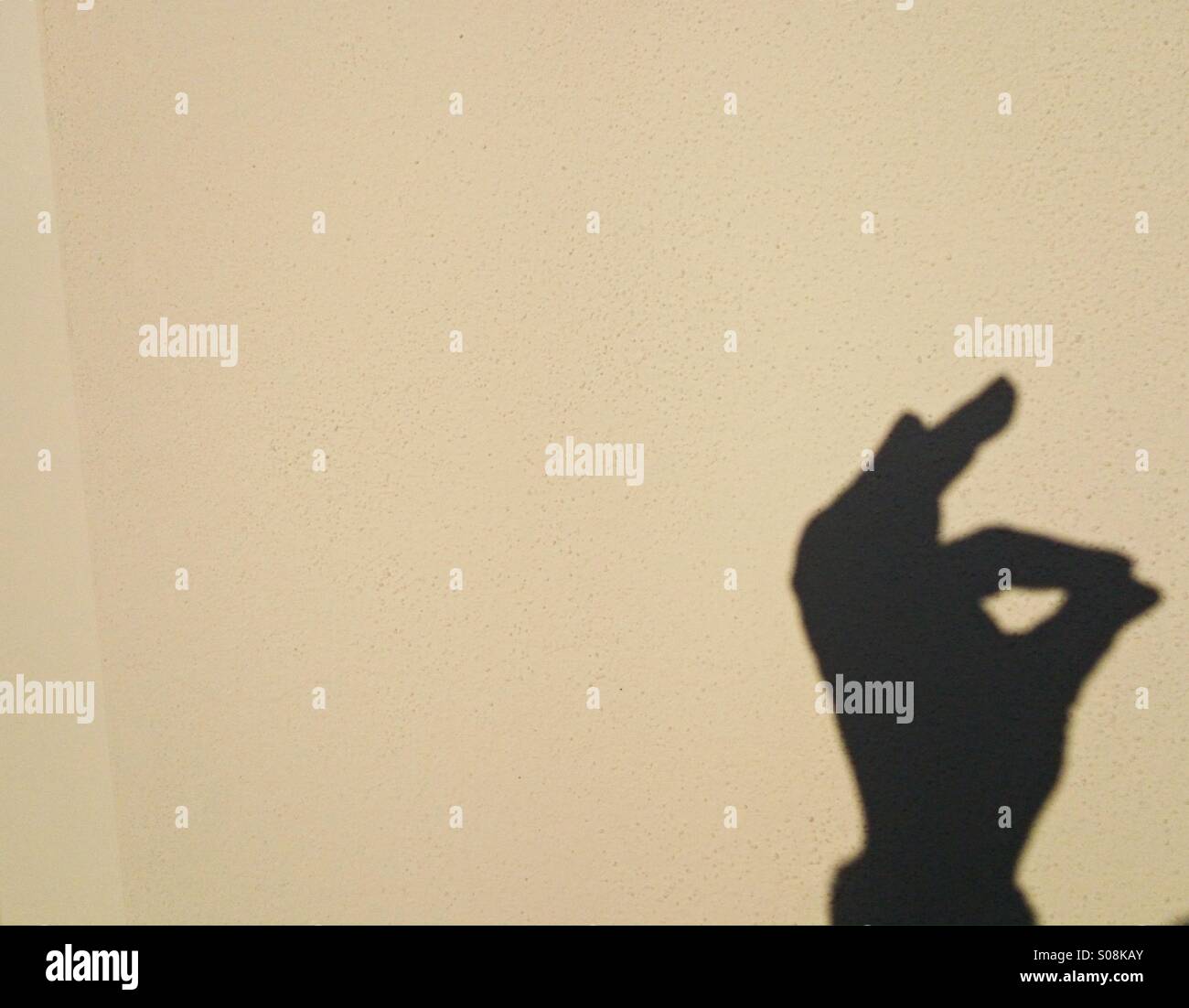 Rabbit shadow hi-res stock photography and images - Alamy