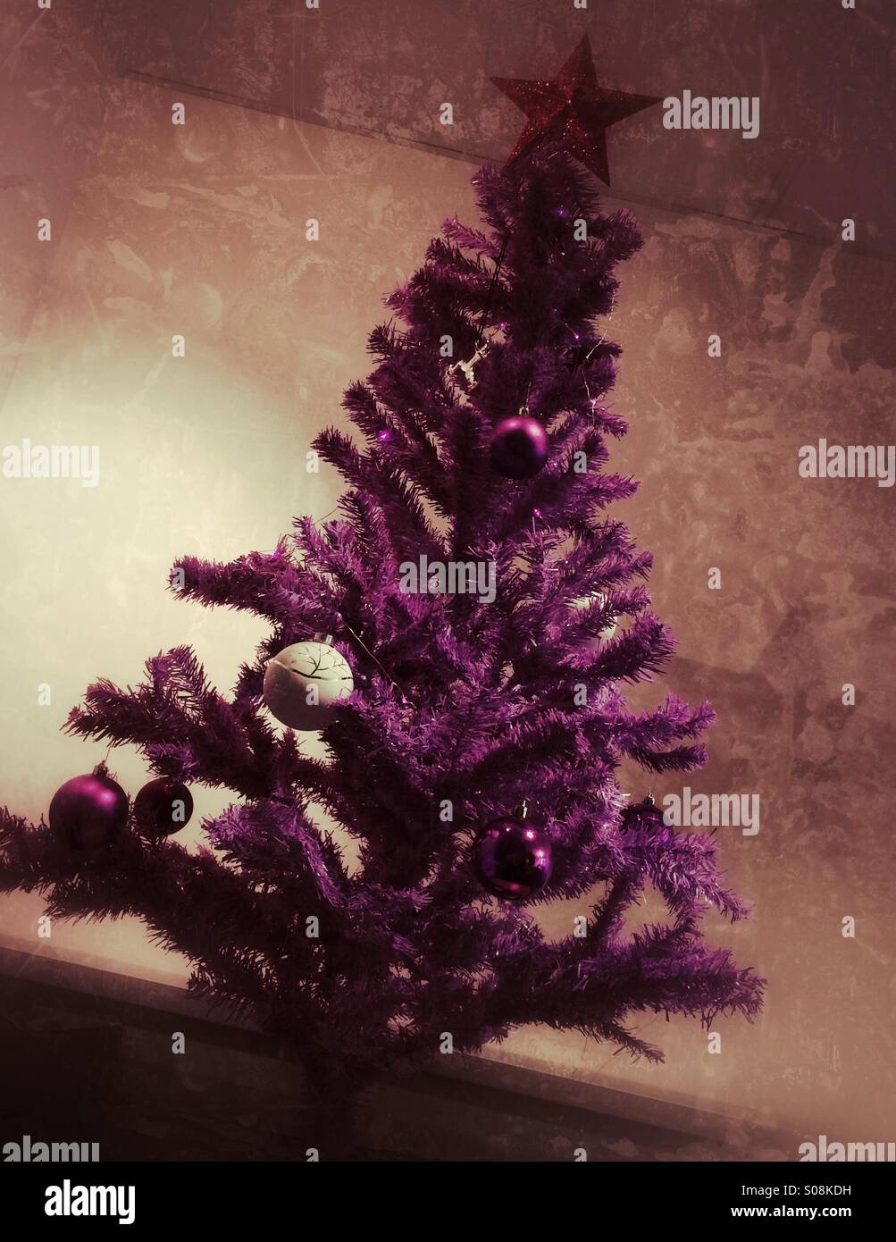 Purple christmas tree hi-res stock photography and images - Alamy