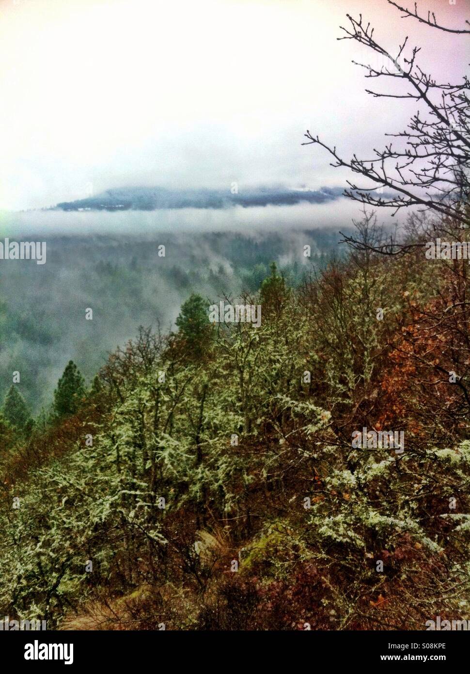 Nature scene hi-res stock photography and images - Alamy