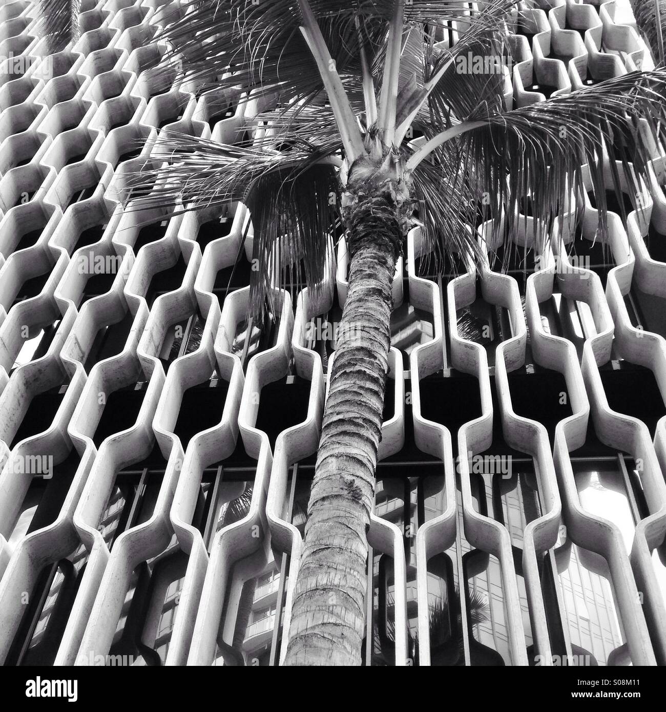 Ibm building honolulu hi-res stock photography and images - Alamy