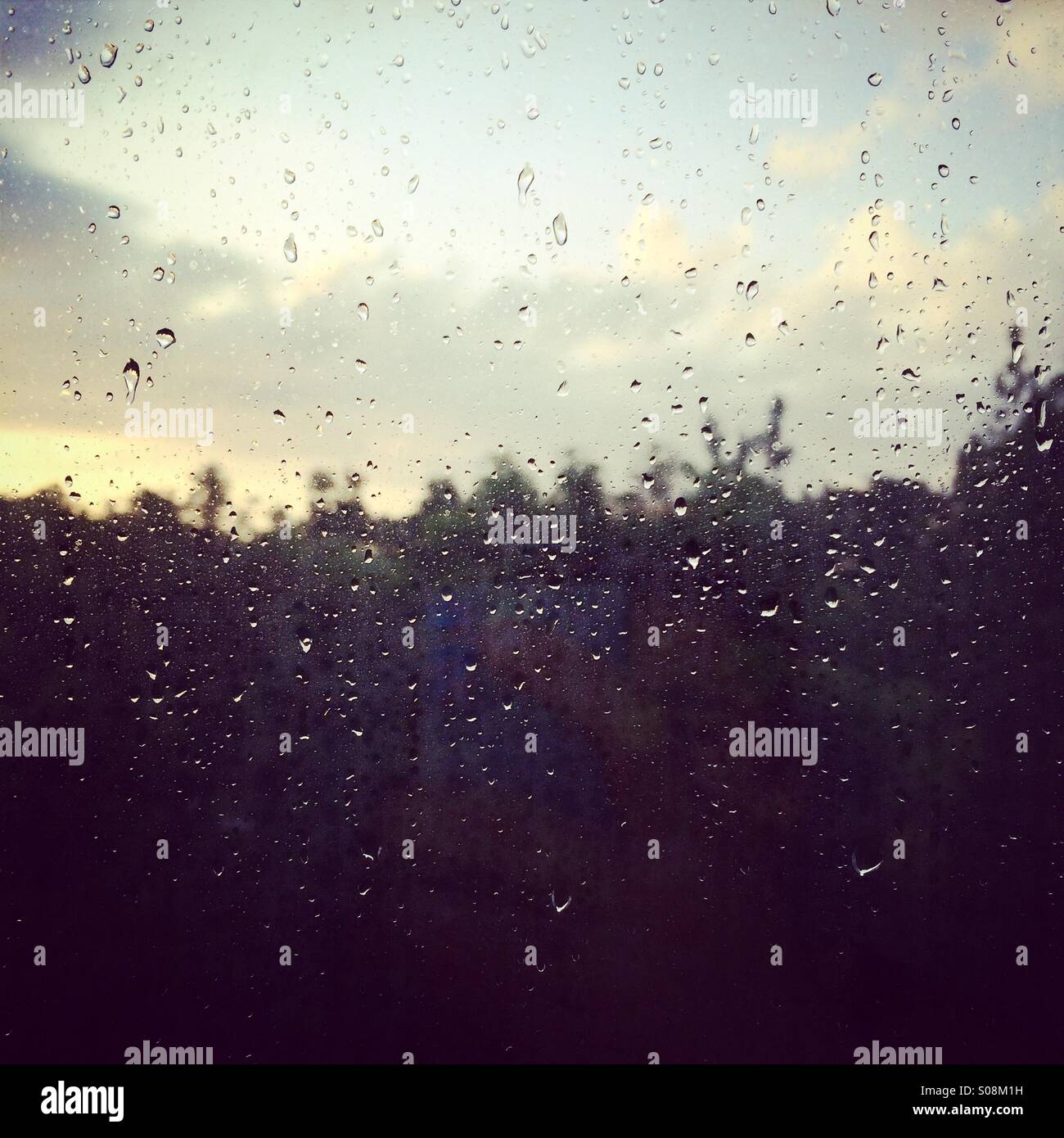 Sky dew hi-res stock photography and images - Alamy