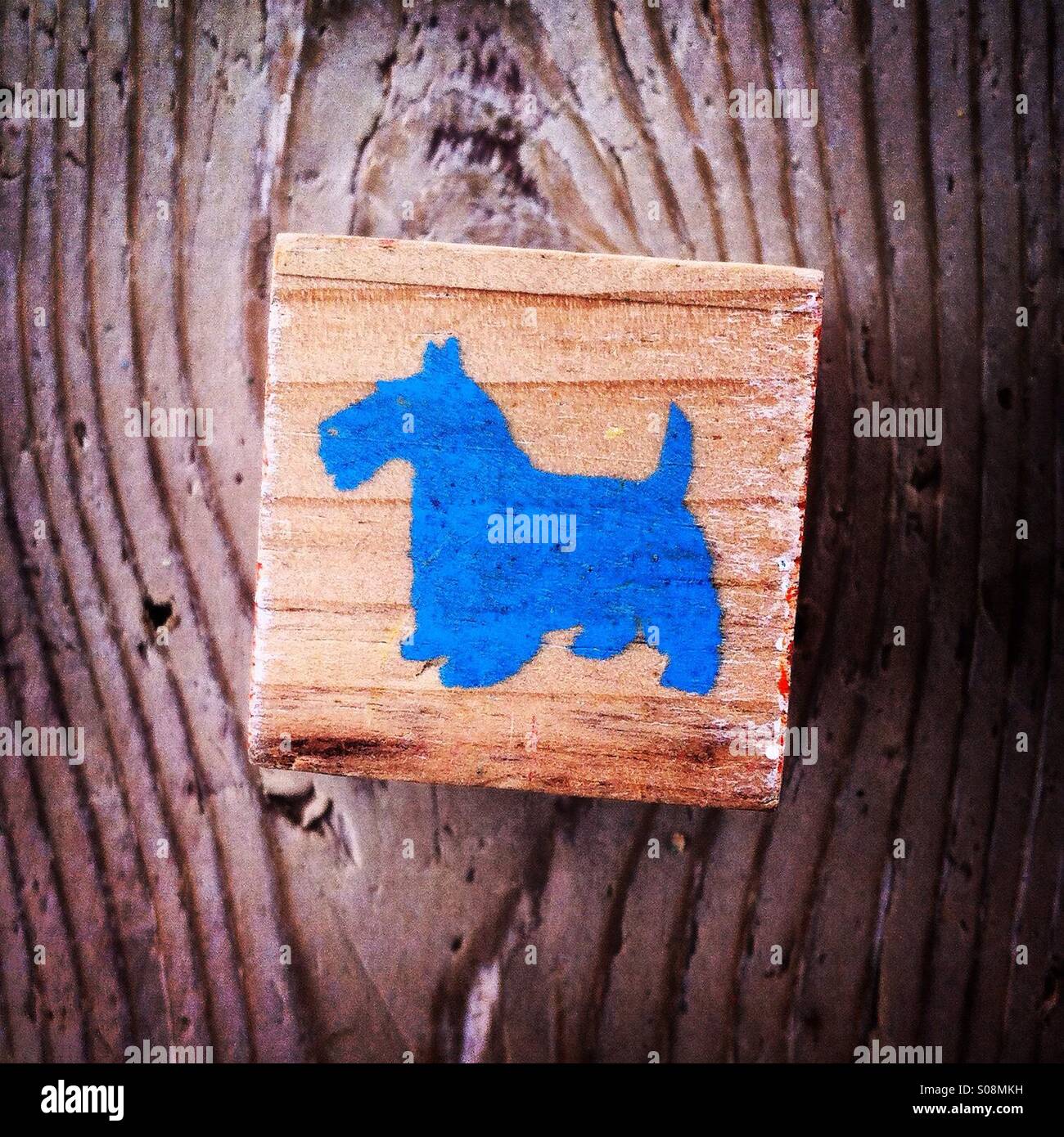 Blue dog on wood block Stock Photo - Alamy