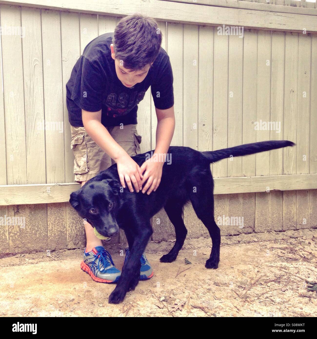 Boy petting dog hi-res stock photography and images - Alamy
