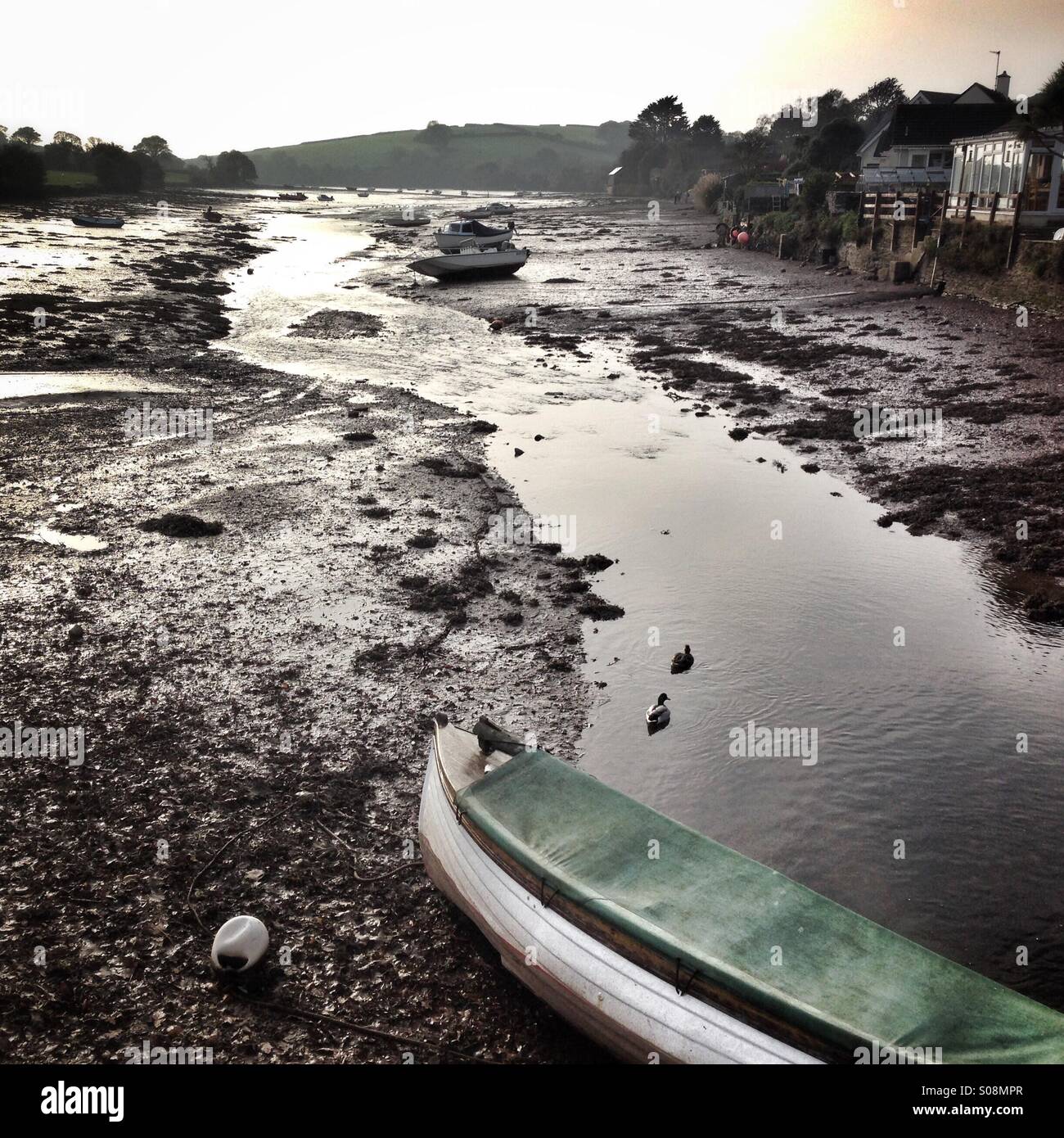 Low tide at Frogmore, Kingsbridge, Devon Stock Photo - Alamy