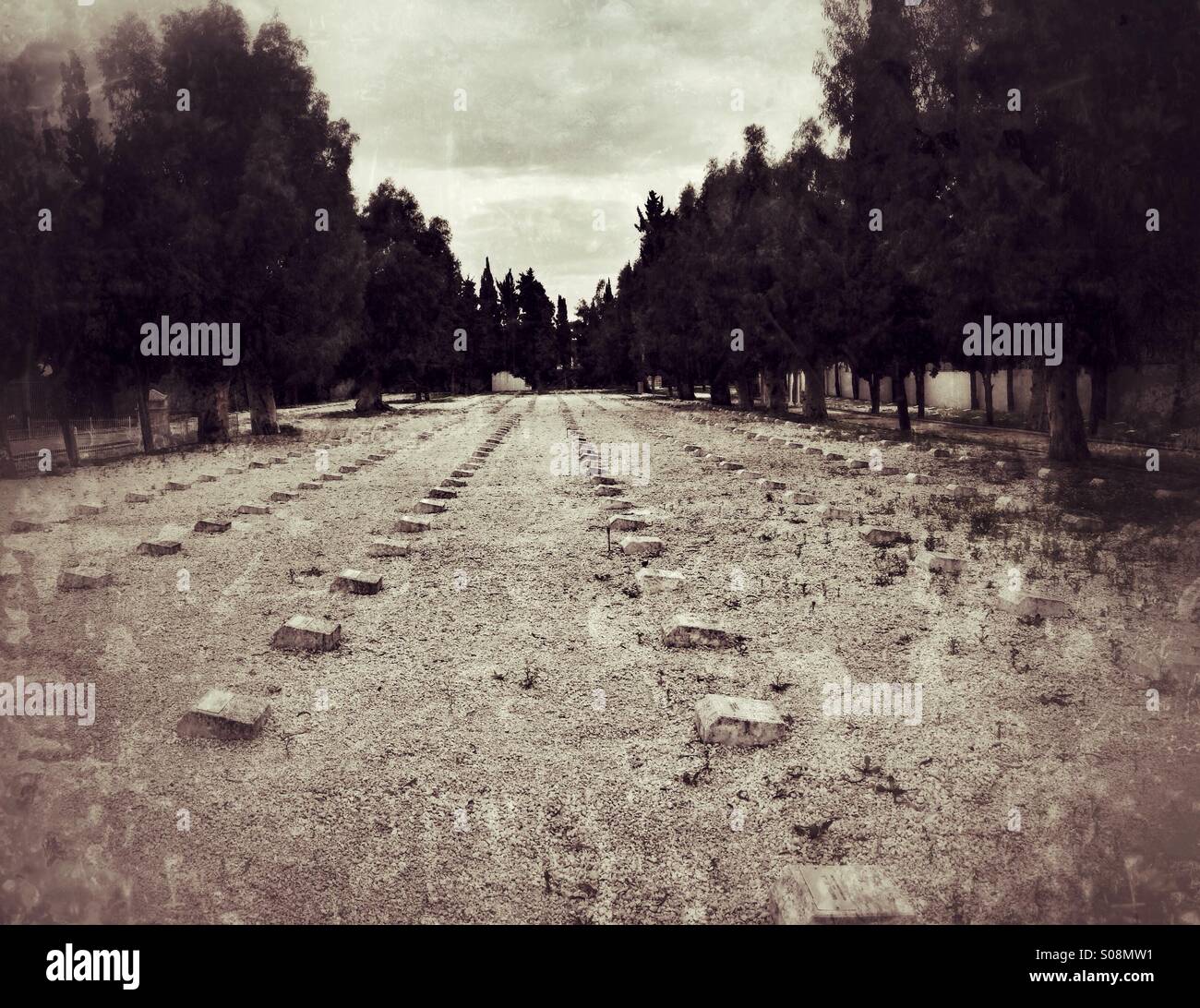 French cemetery in Beirut Lebanon Stock Photo - Alamy