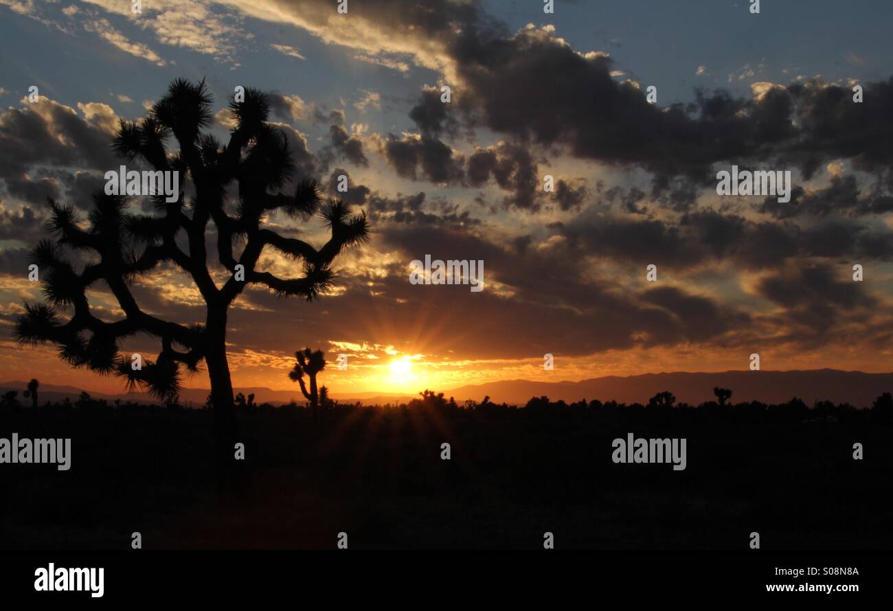 Antelope valley hi-res stock photography and images - Alamy