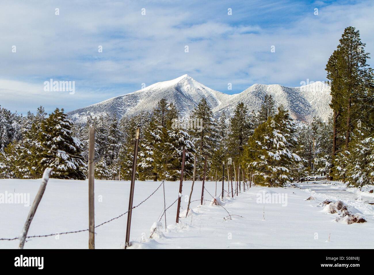 Snow in Flagstaff arizona Stock Photo - Alamy