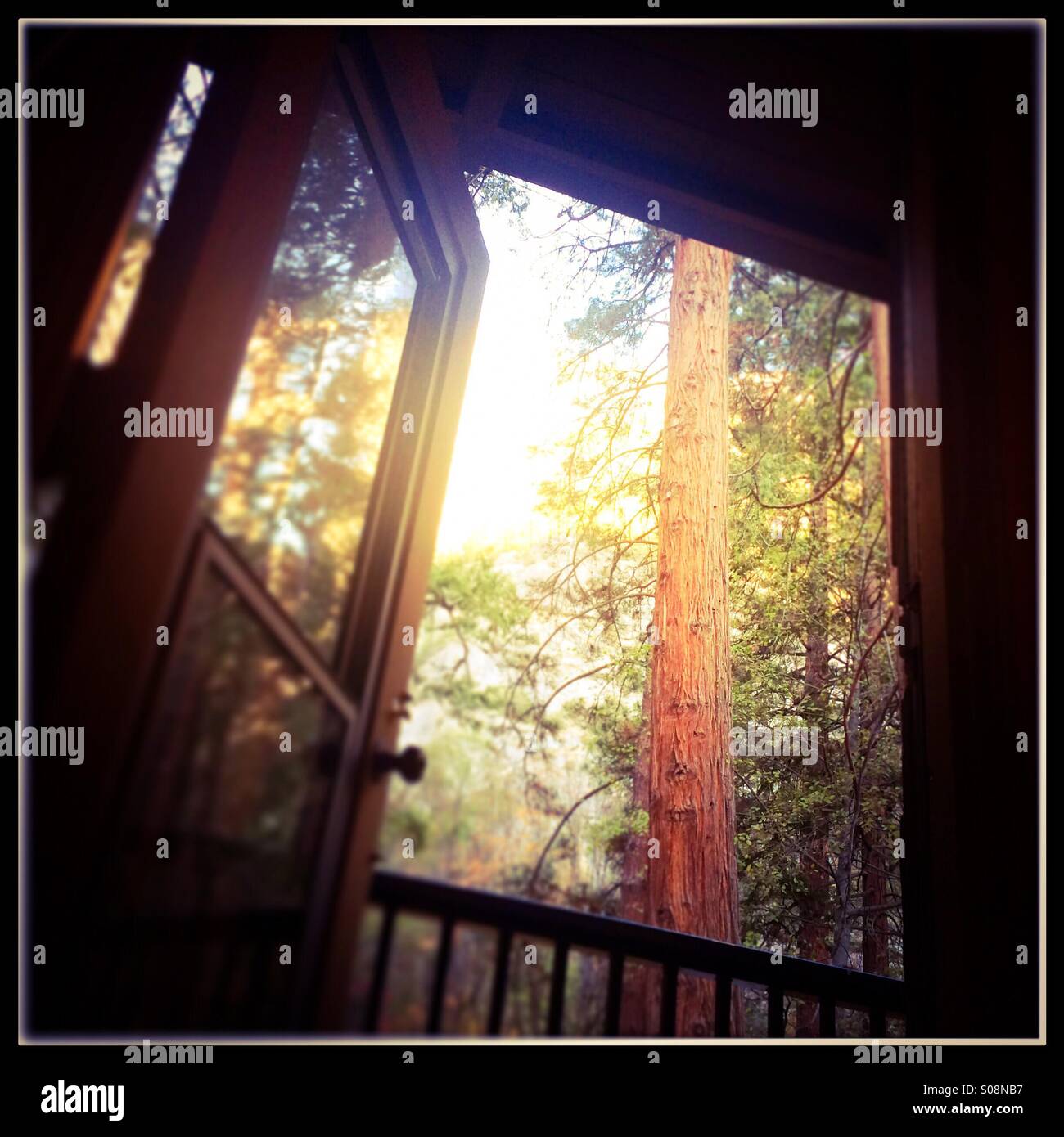 A forest outside an open door. Yosemite Valley, Yosemite National Park ...