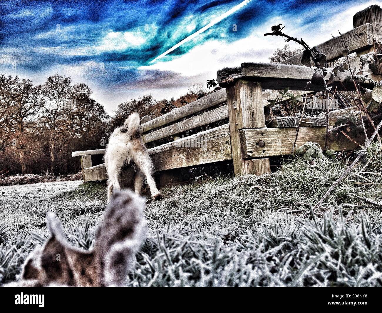 Frosty bench hi-res stock photography and images - Alamy