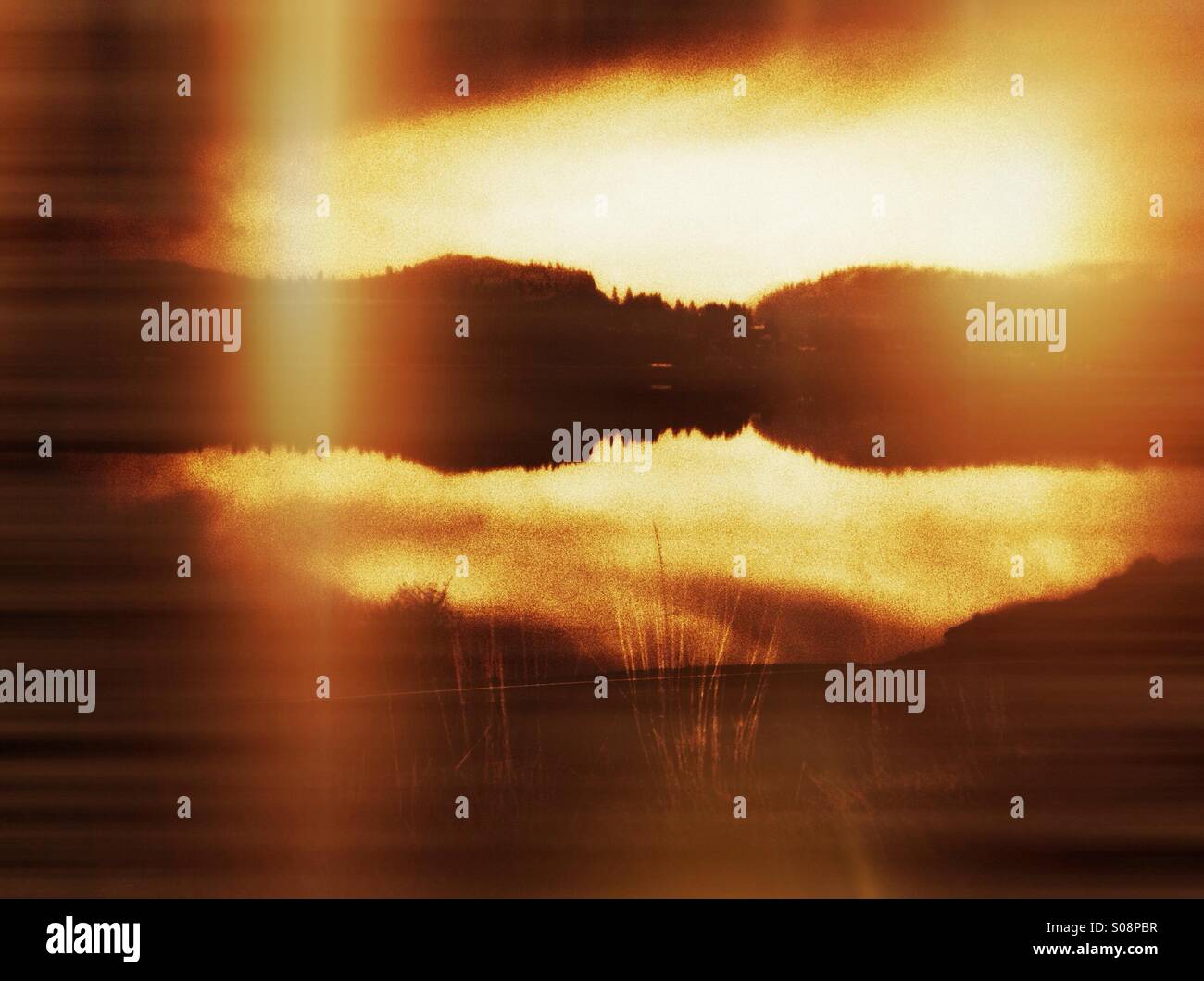 Artful nature hi-res stock photography and images - Alamy