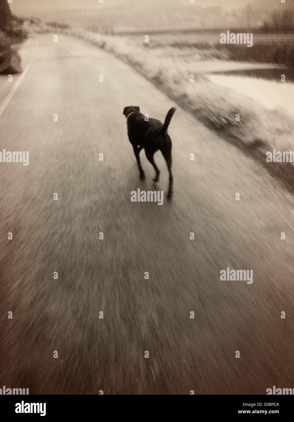 Motion move movement hi-res stock photography and images - Alamy