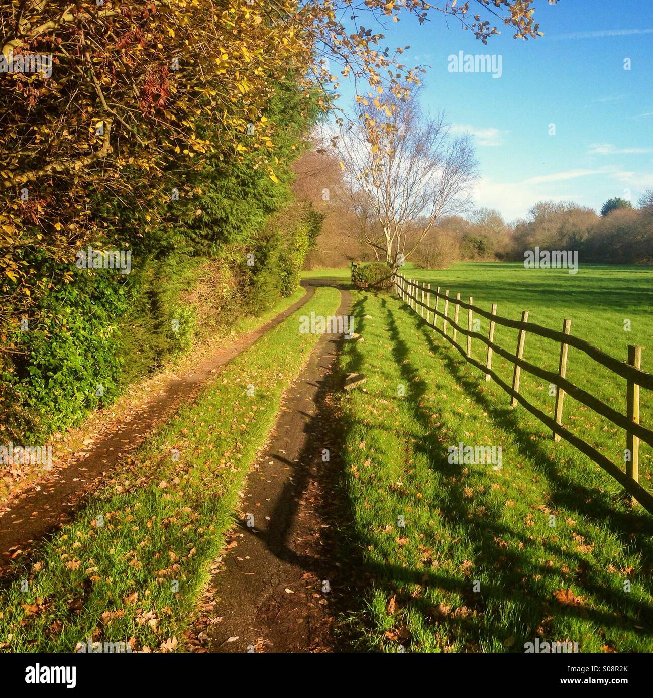Fence in the countryside in the sunshine Stock Photo - Alamy