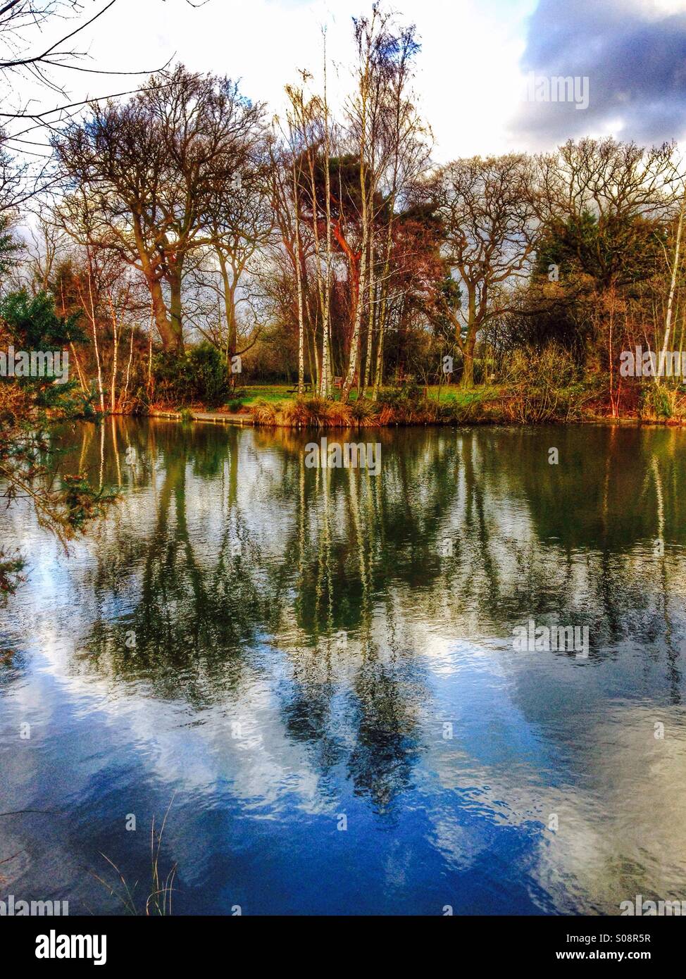 Reflections in a pond. Ancaster, Lincolnshire, England Stock Photo - Alamy