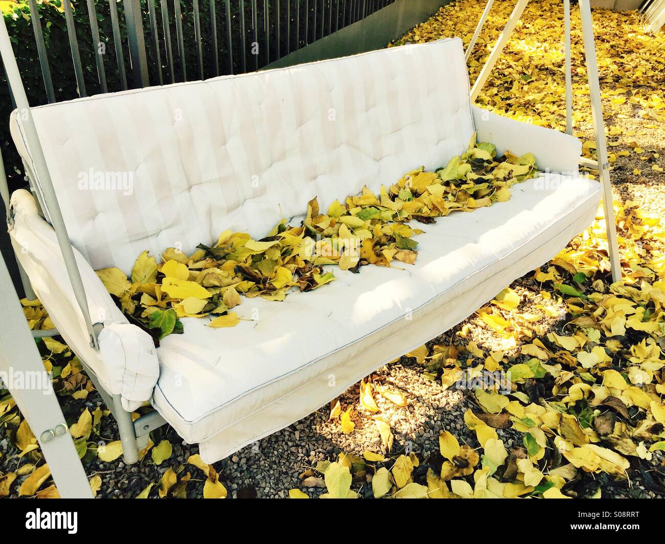 Back yard chair swing hi-res stock photography and images - Alamy
