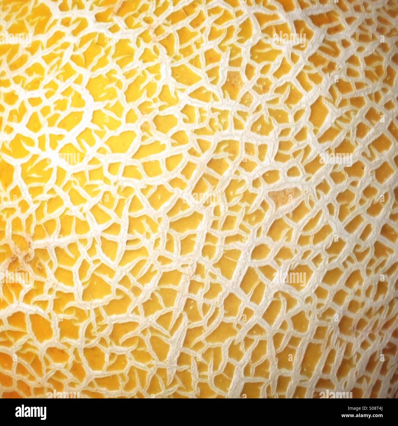 Skin contrast hi-res stock photography and images - Alamy