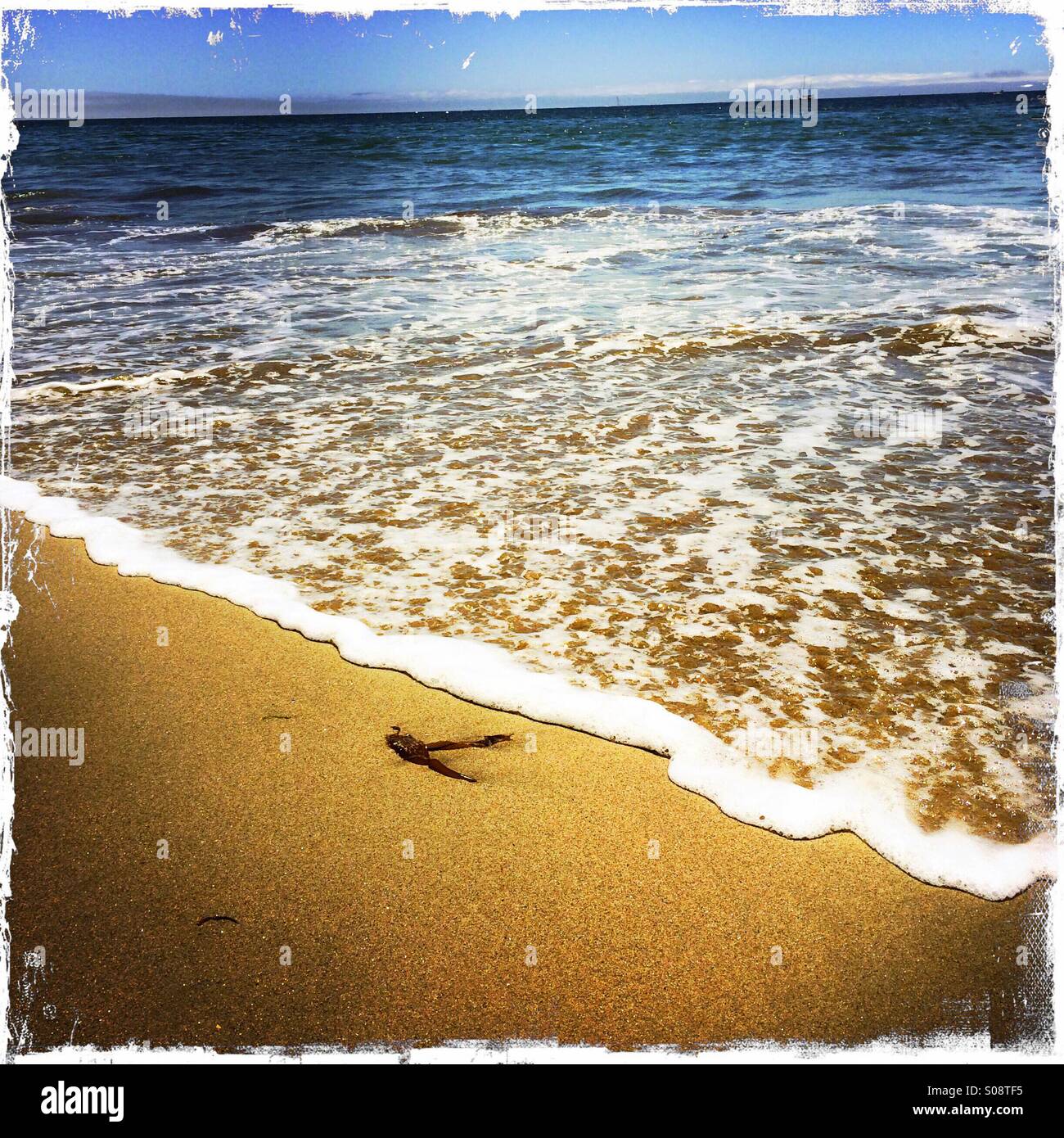 Sand and surf at Seabright State Beach. Santa Cruz, California, USA ...