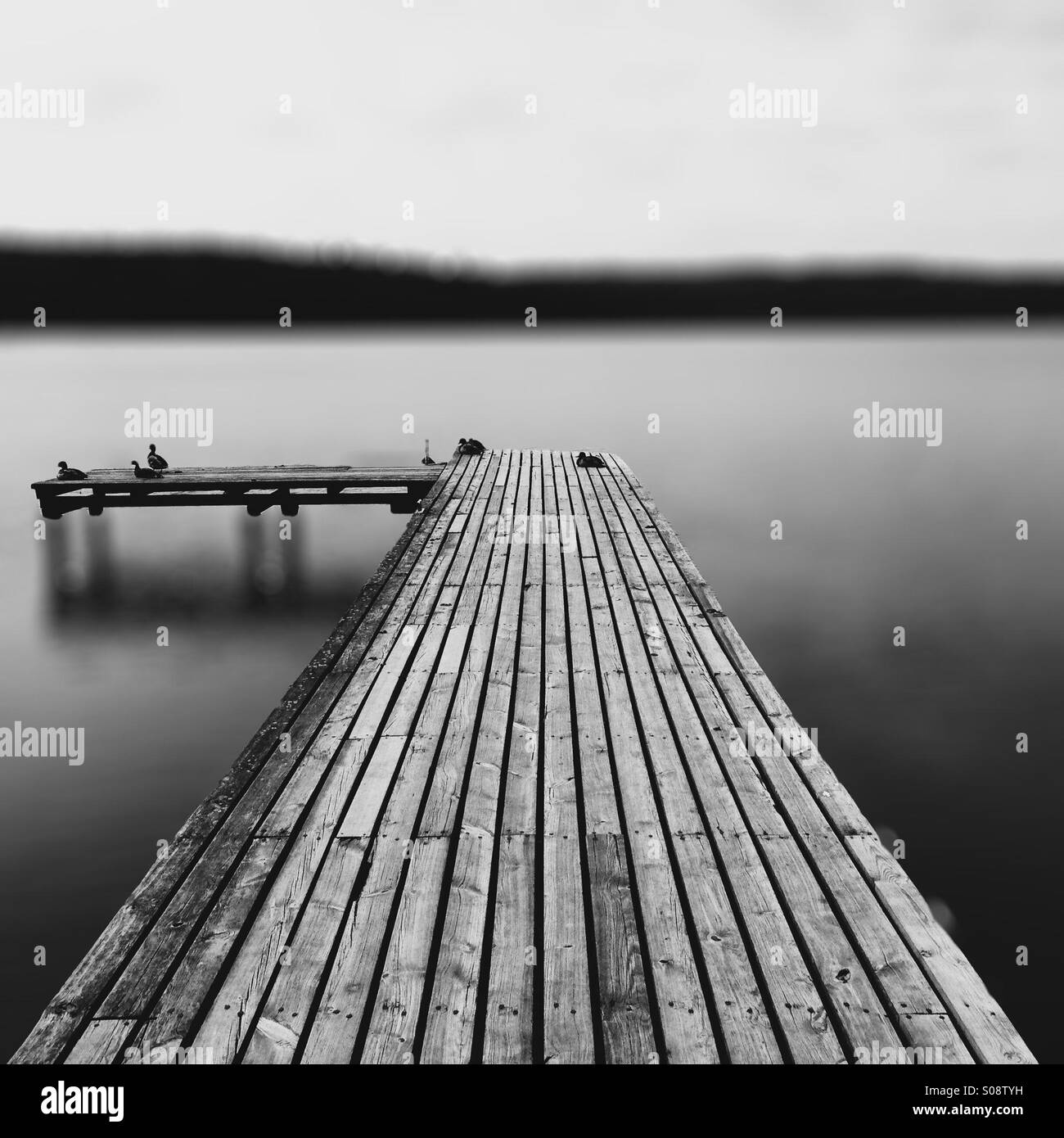 Black silence hi-res stock photography and images - Alamy