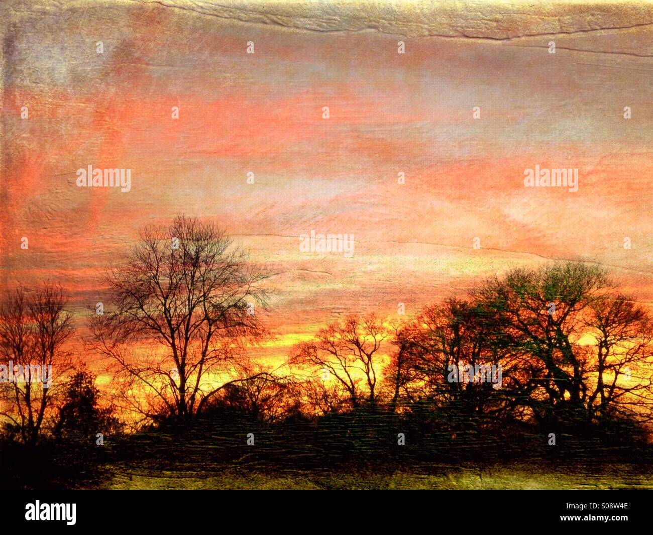 Sunset behind trees Stock Photo - Alamy