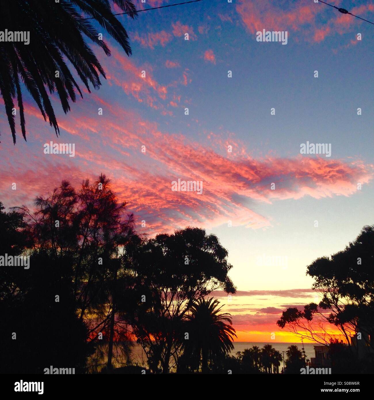 Sunset with trees by the sea Stock Photo - Alamy