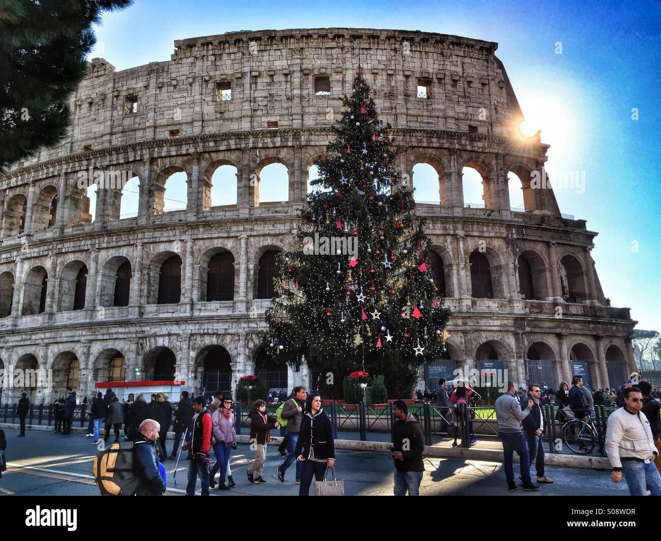 Colosseum in Rome at Christmas with a giant Christmas tree in front ...