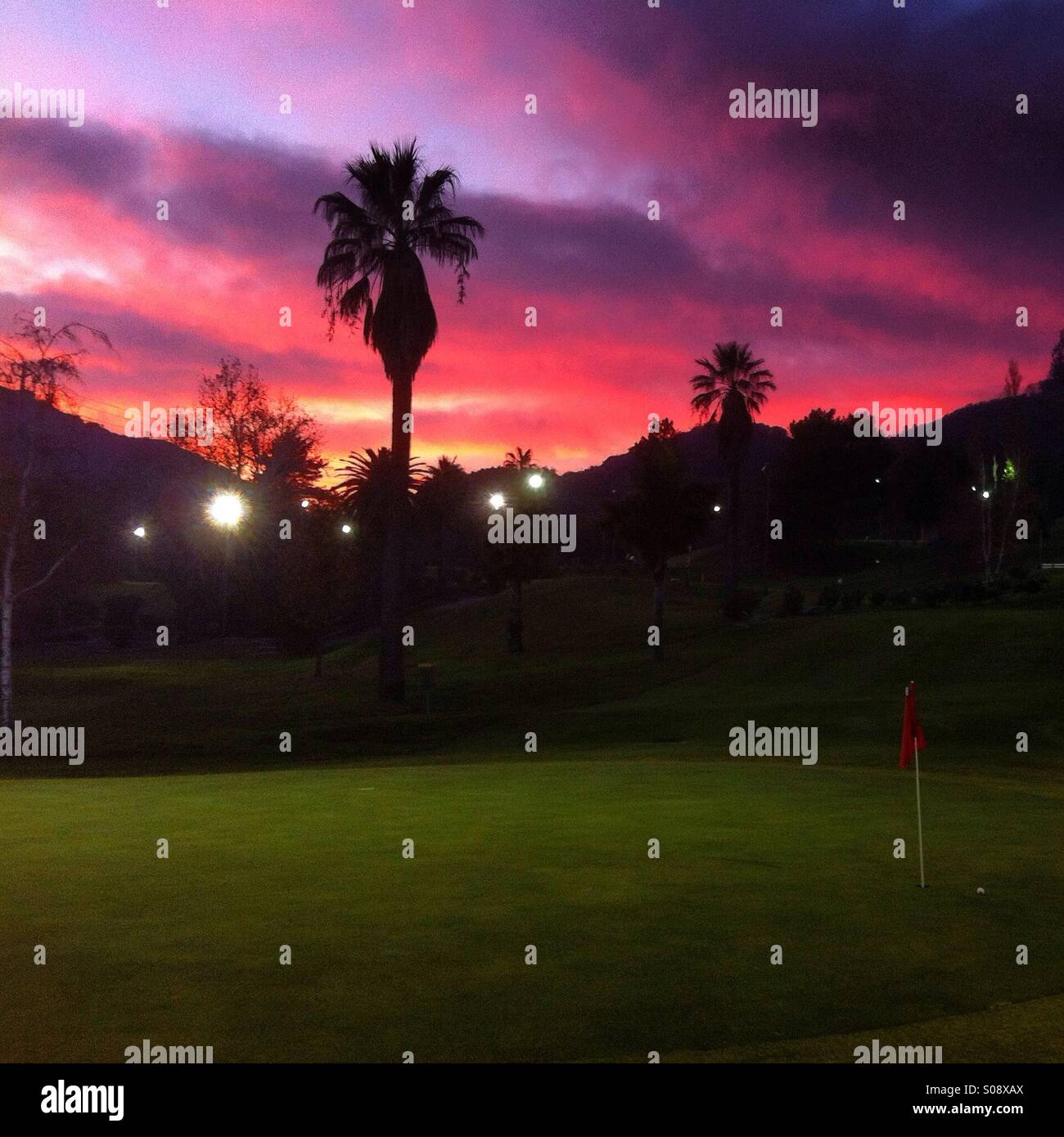 Golfing palm hi-res stock photography and images - Alamy