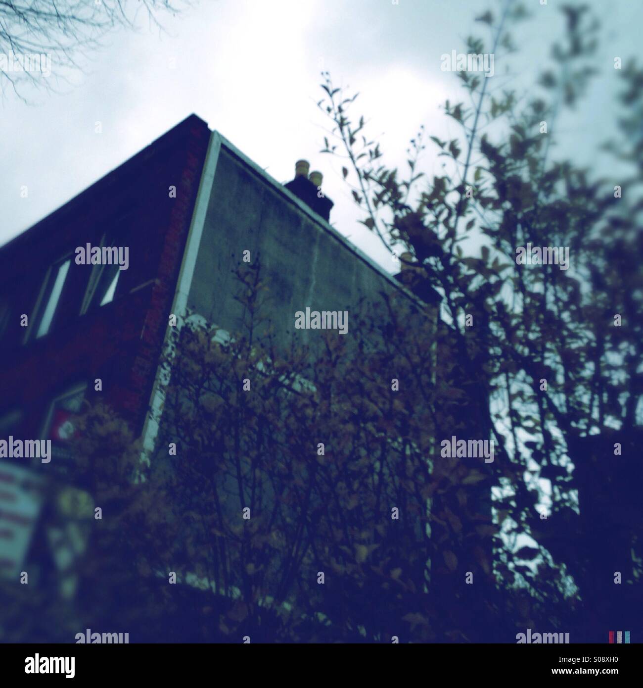 Bush advertising hi-res stock photography and images - Alamy