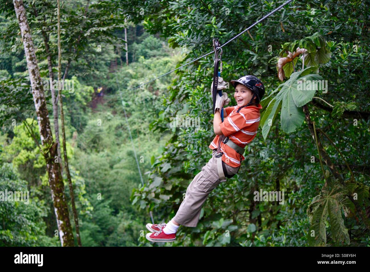 Canopy at Mindo-Ecuador Stock Photo - Alamy