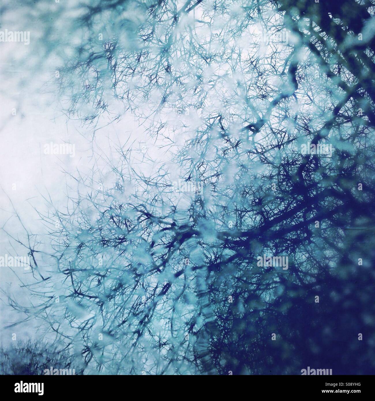 Windscreen windowscreen hi-res stock photography and images - Alamy