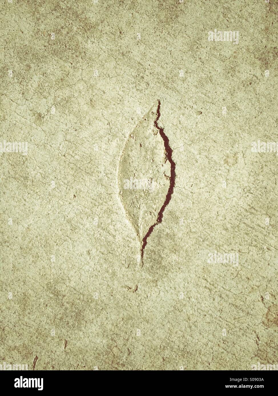 Cement imprint hi-res stock photography and images - Alamy