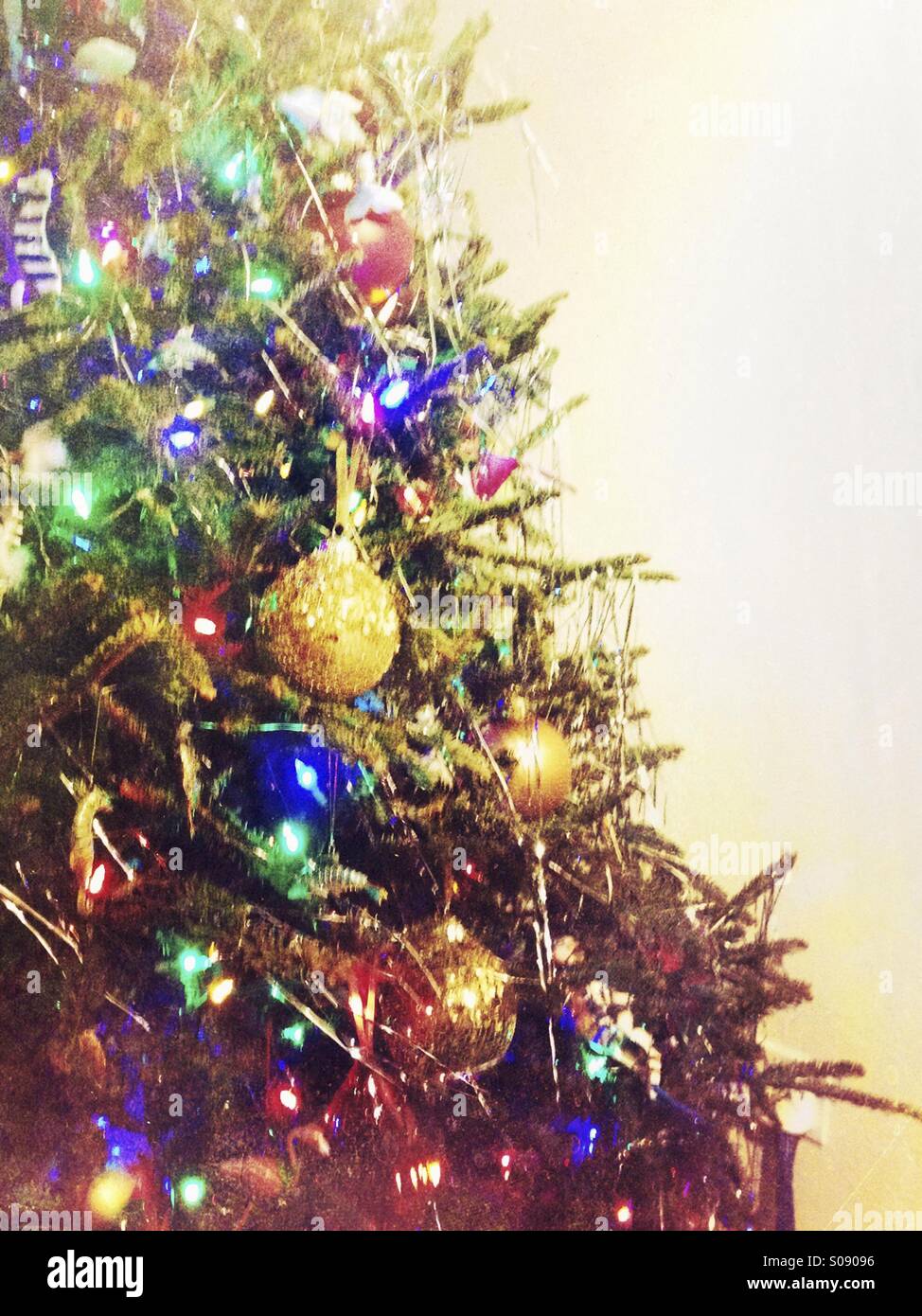 Christmas tree hi-res stock photography and images - Alamy