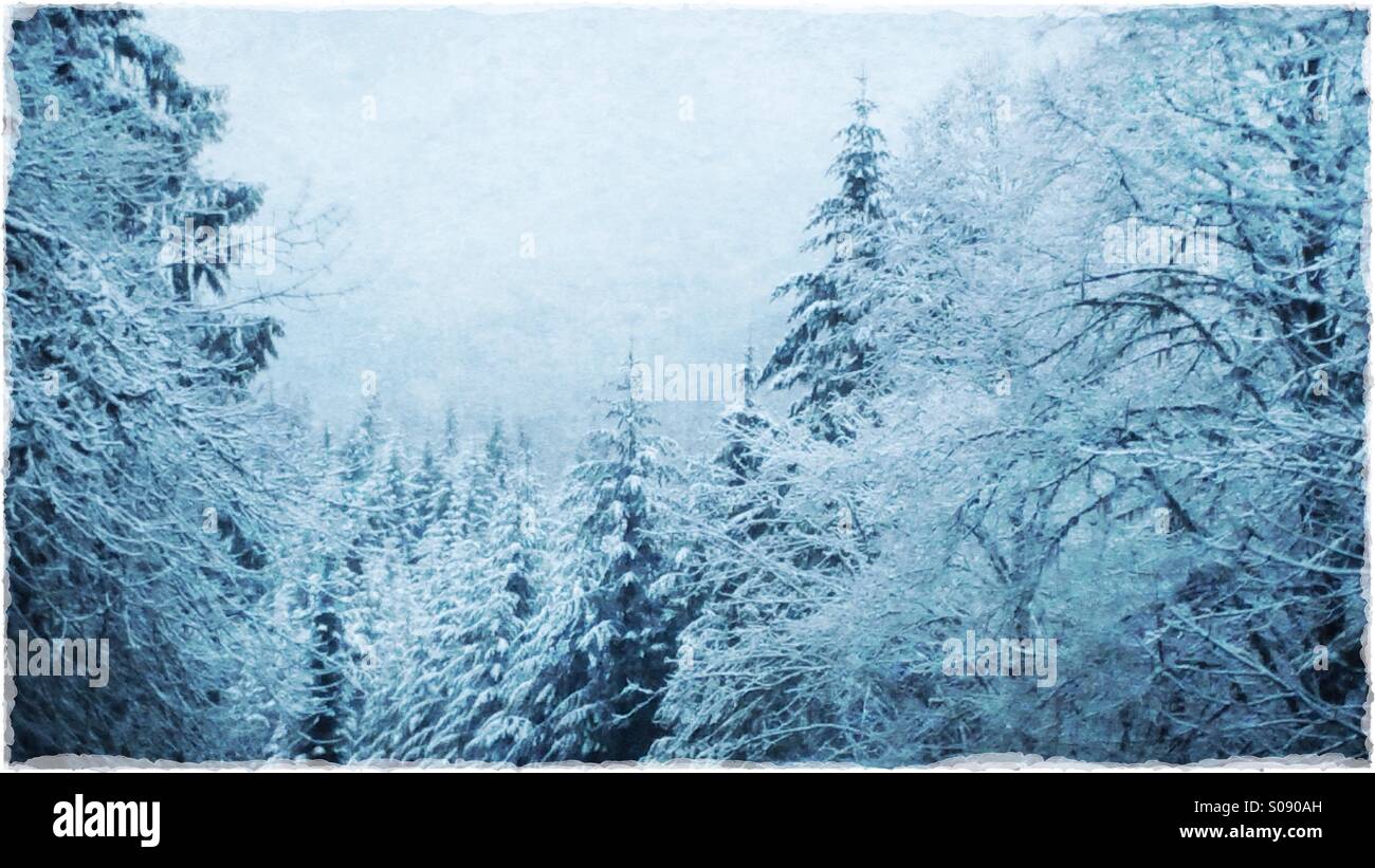 Oregon winter wonderland Stock Photo - Alamy