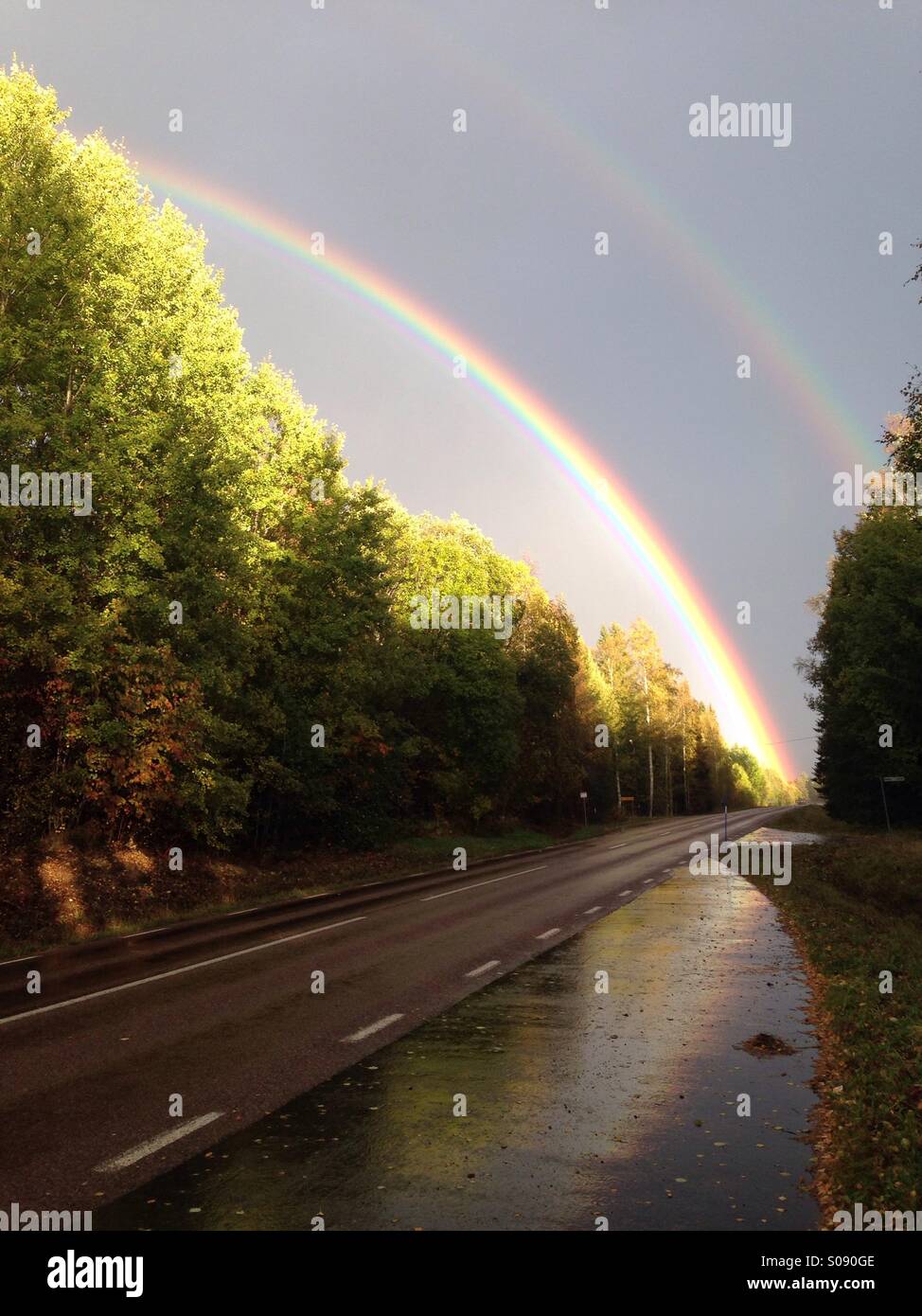 Rain Drenched Stock Photos & Rain Drenched Stock Images - Alamy