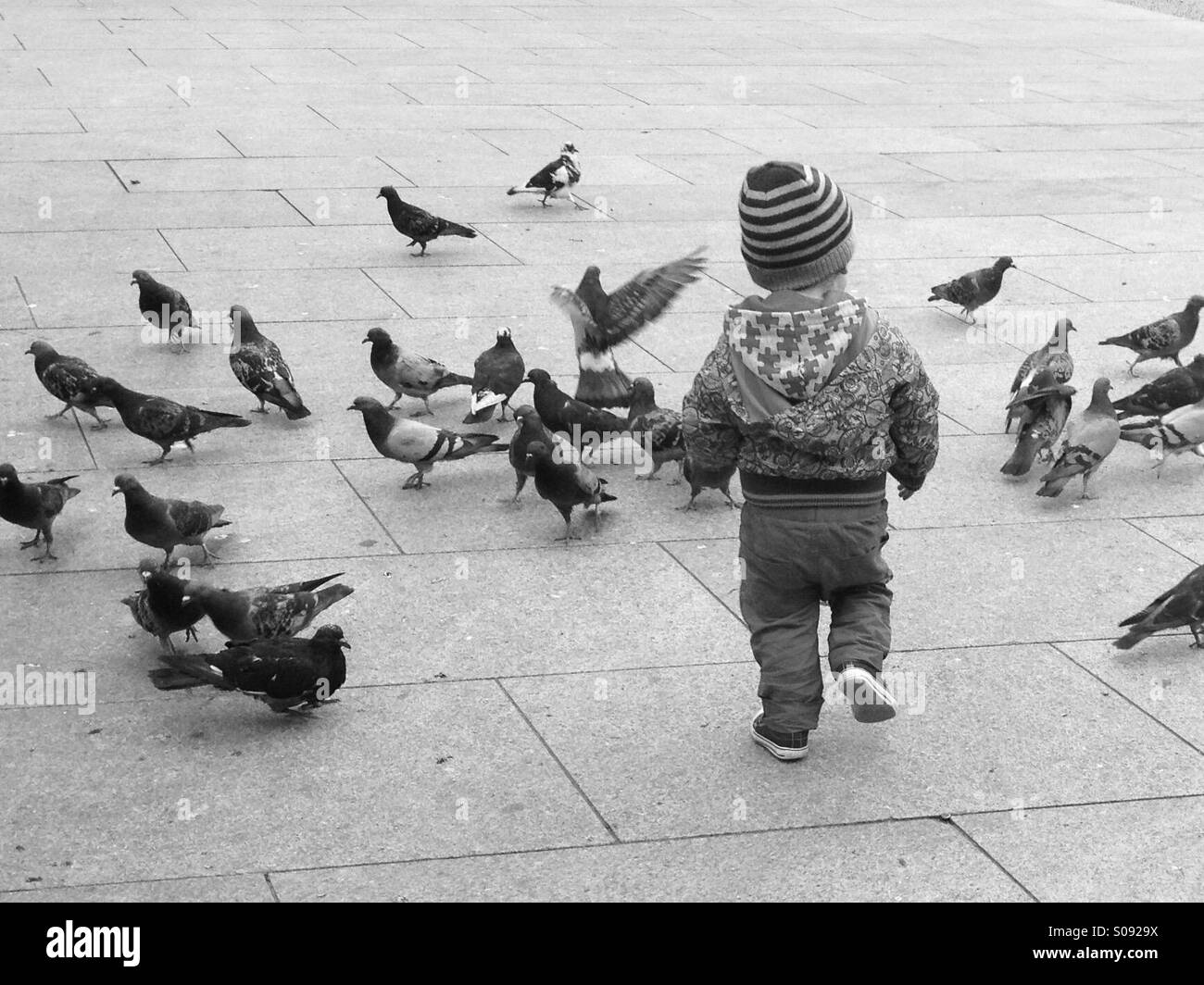 Boy chasing Black and White Stock Photos & Images - Alamy