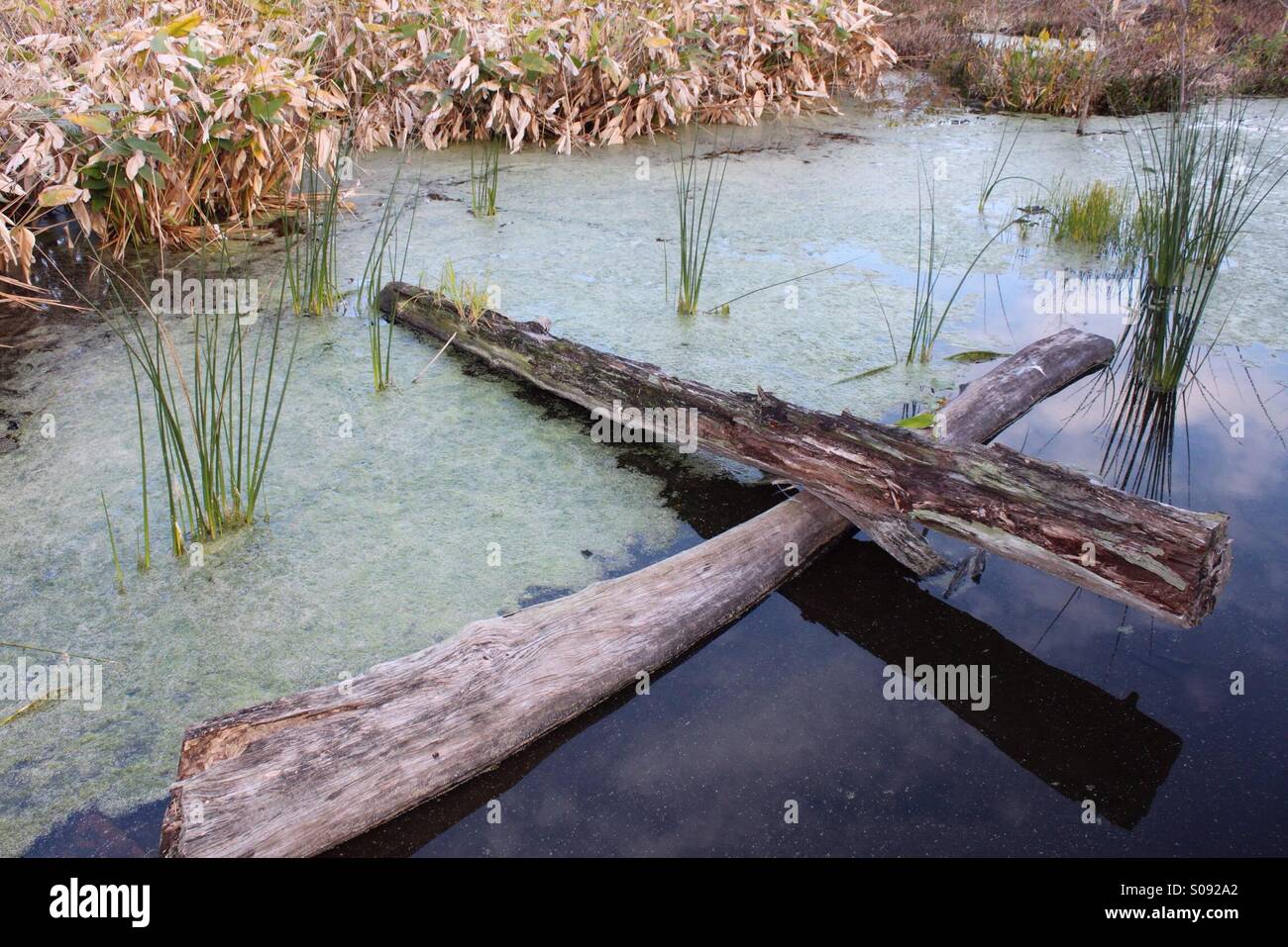Crossed logs hi-res stock photography and images - Alamy