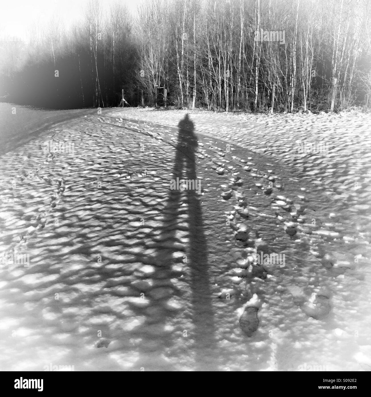 Long shadow hi-res stock photography and images - Alamy