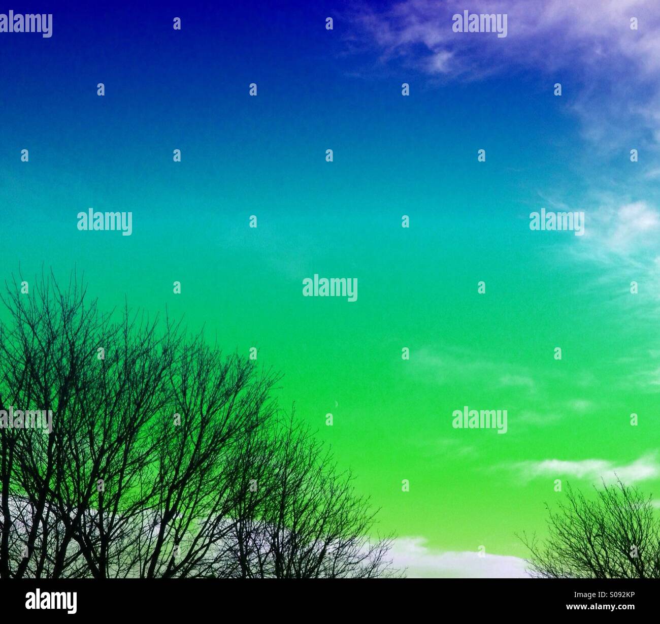 Colour effect on sky behind trees Stock Photo - Alamy