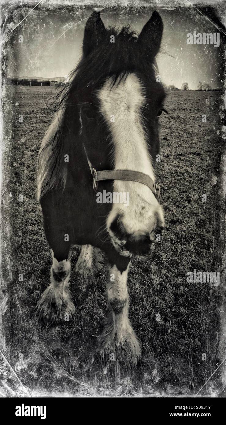 Nostalgic effect hi-res stock photography and images - Alamy