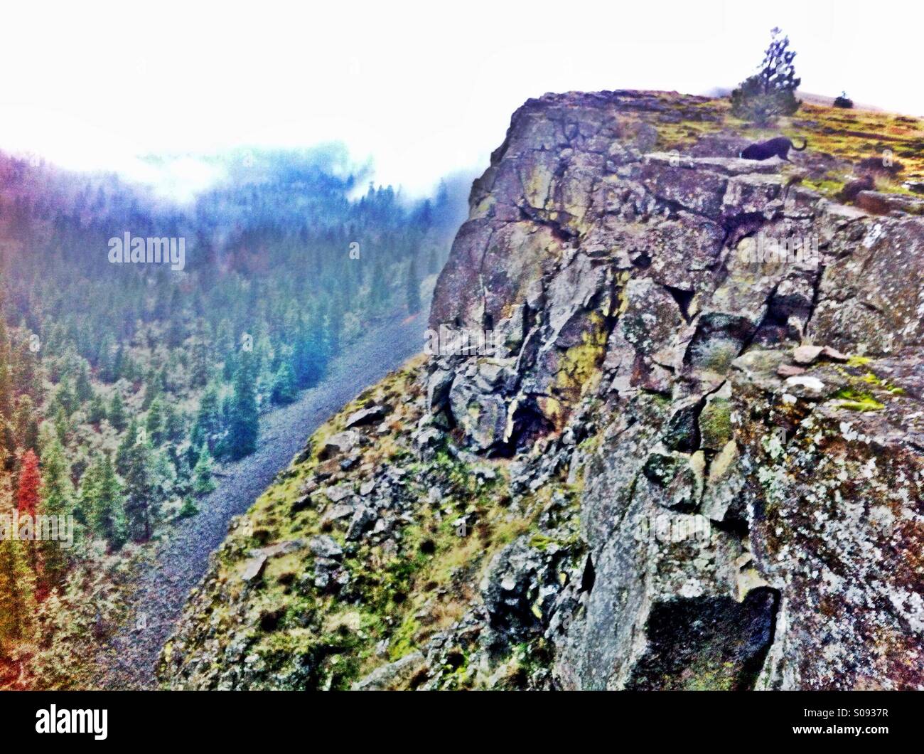 Cliff trees layers hi-res stock photography and images - Alamy