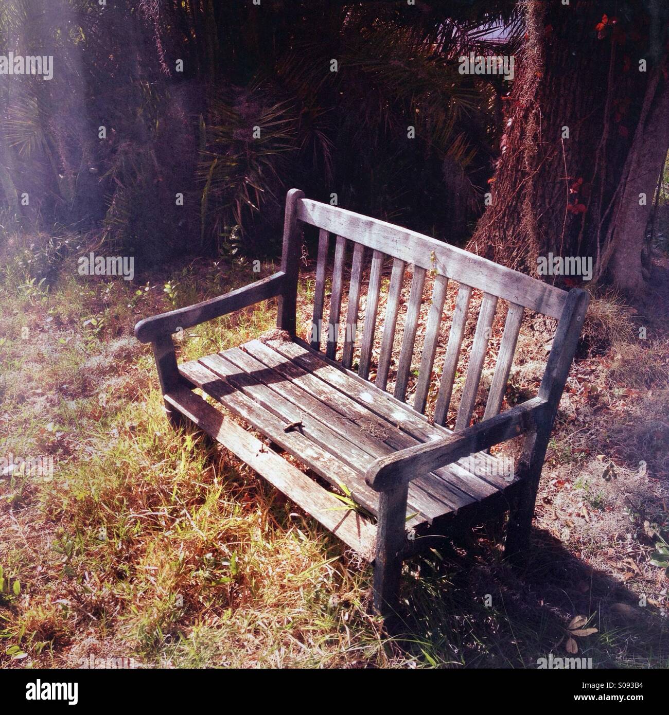 An old wooden bench Stock Photo - Alamy
