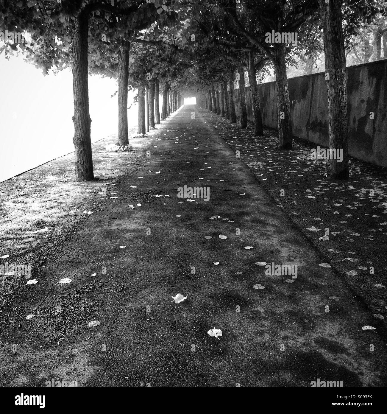 Enskededalen hi-res stock photography and images - Alamy