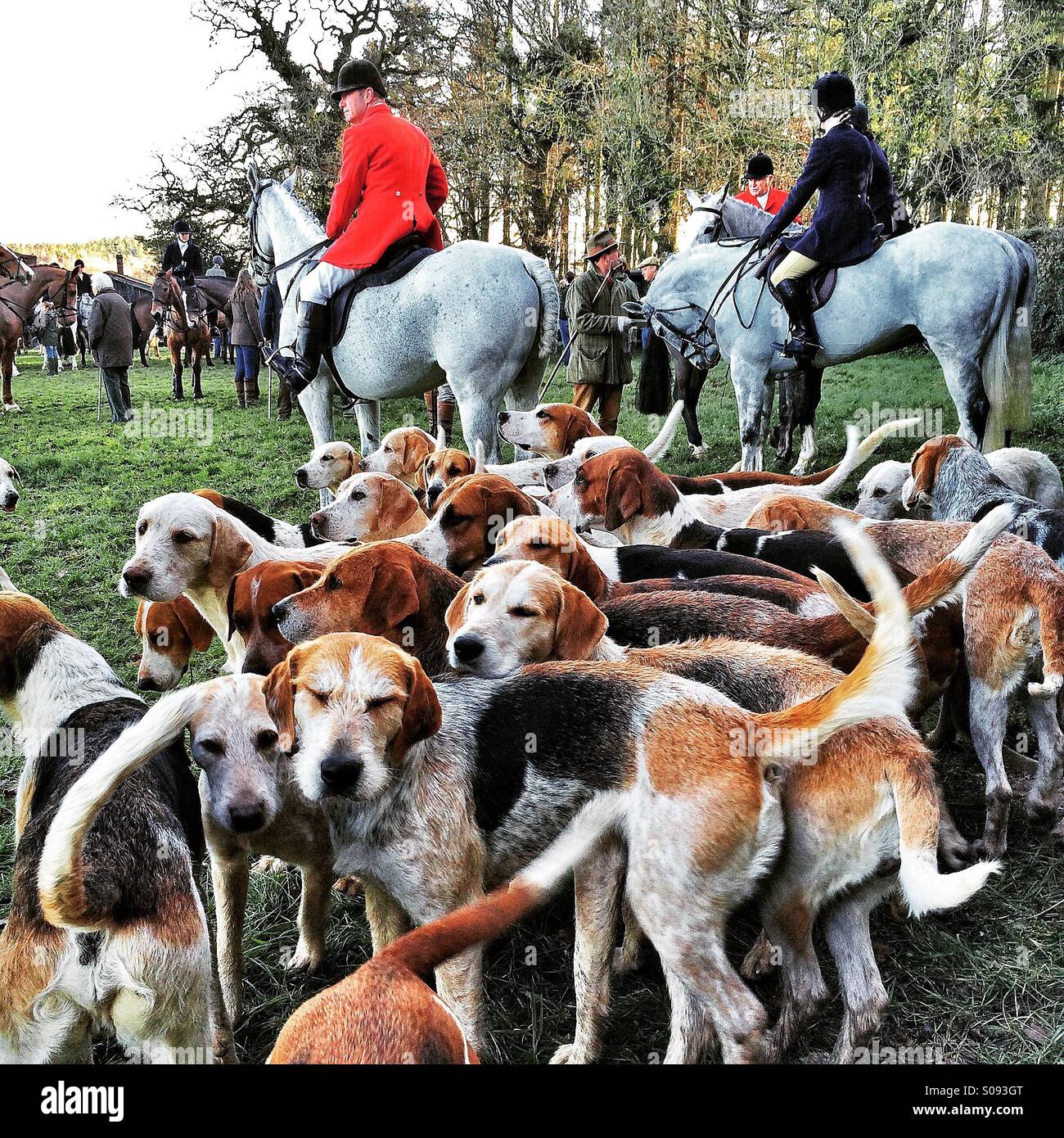Christmas eve hunt hi-res stock photography and images - Alamy