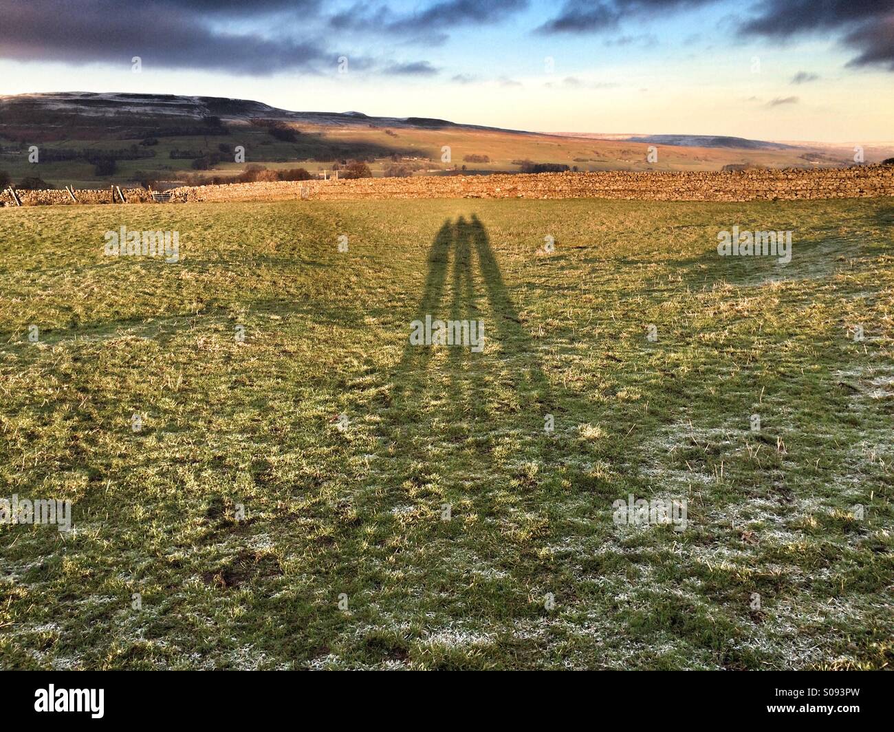 Long shadows of winter Stock Photo - Alamy
