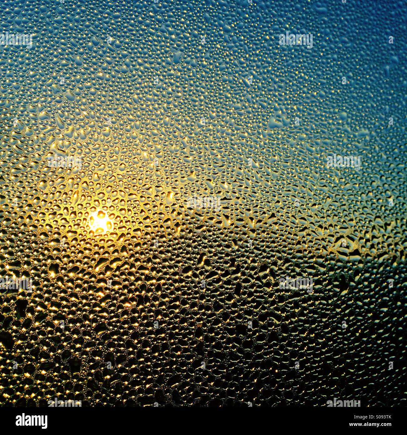 Condensation water drops hi-res stock photography and images - Alamy