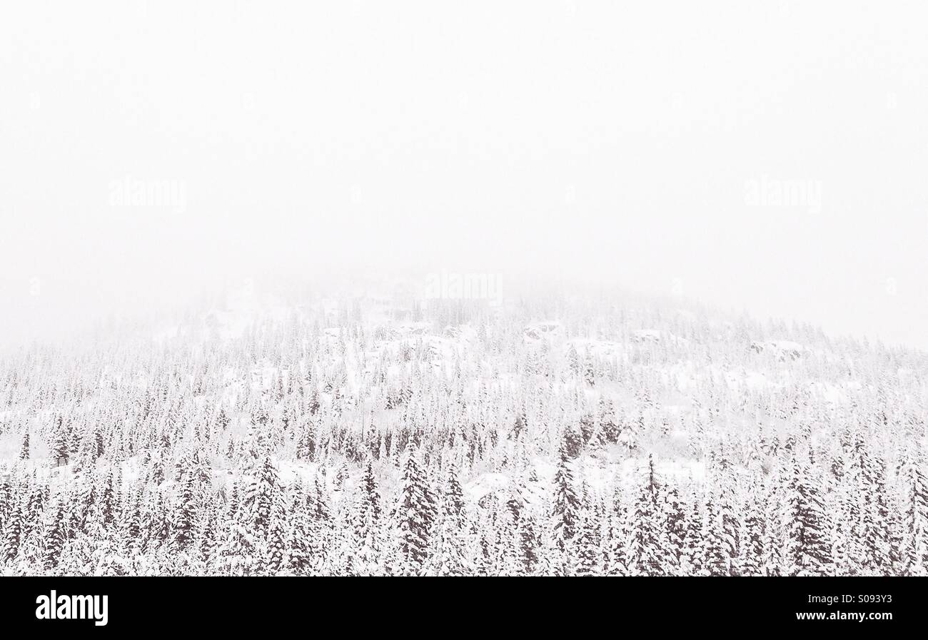 Frozen In Fear Stock Photo Alamy frozen-in-fear-stock-photo-alamy