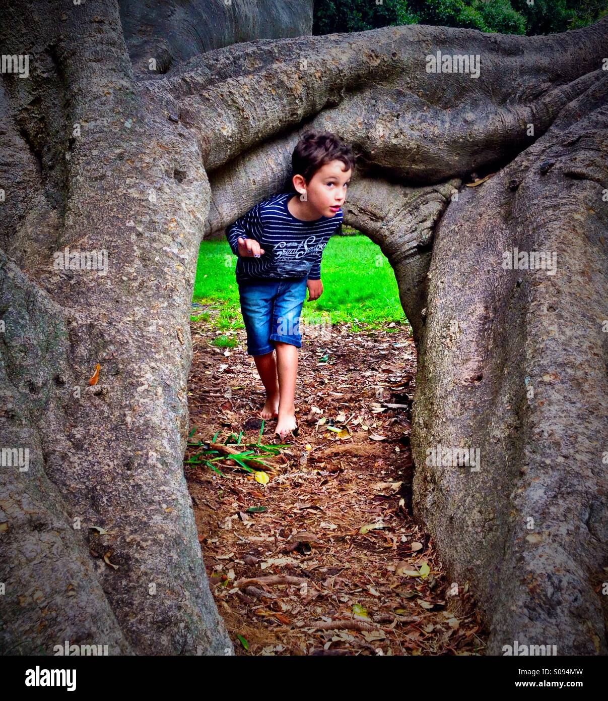 Boy playing outdoors by a big tree Stock Photo - Alamy
