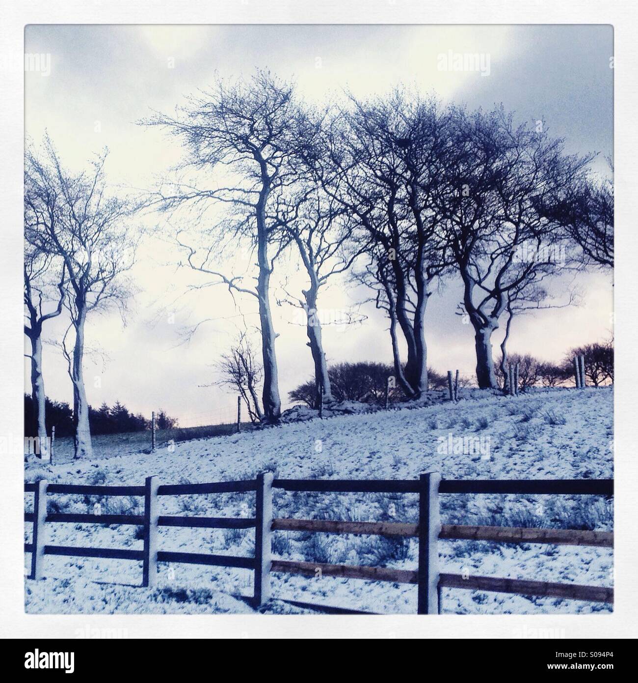 Snow in a field Stock Photo - Alamy