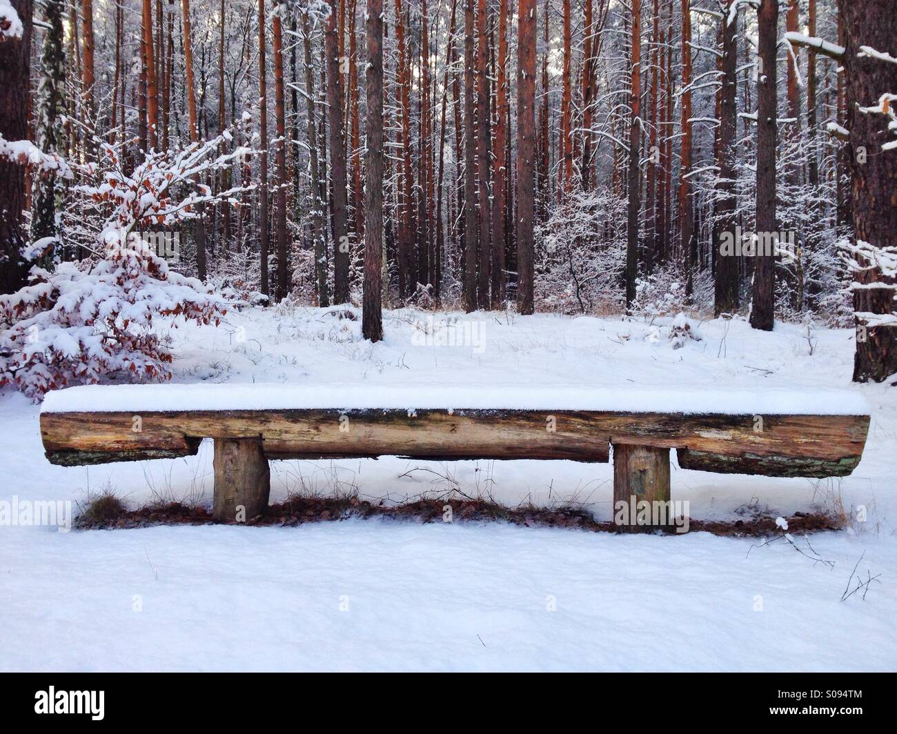Snow seat hi-res stock photography and images - Alamy