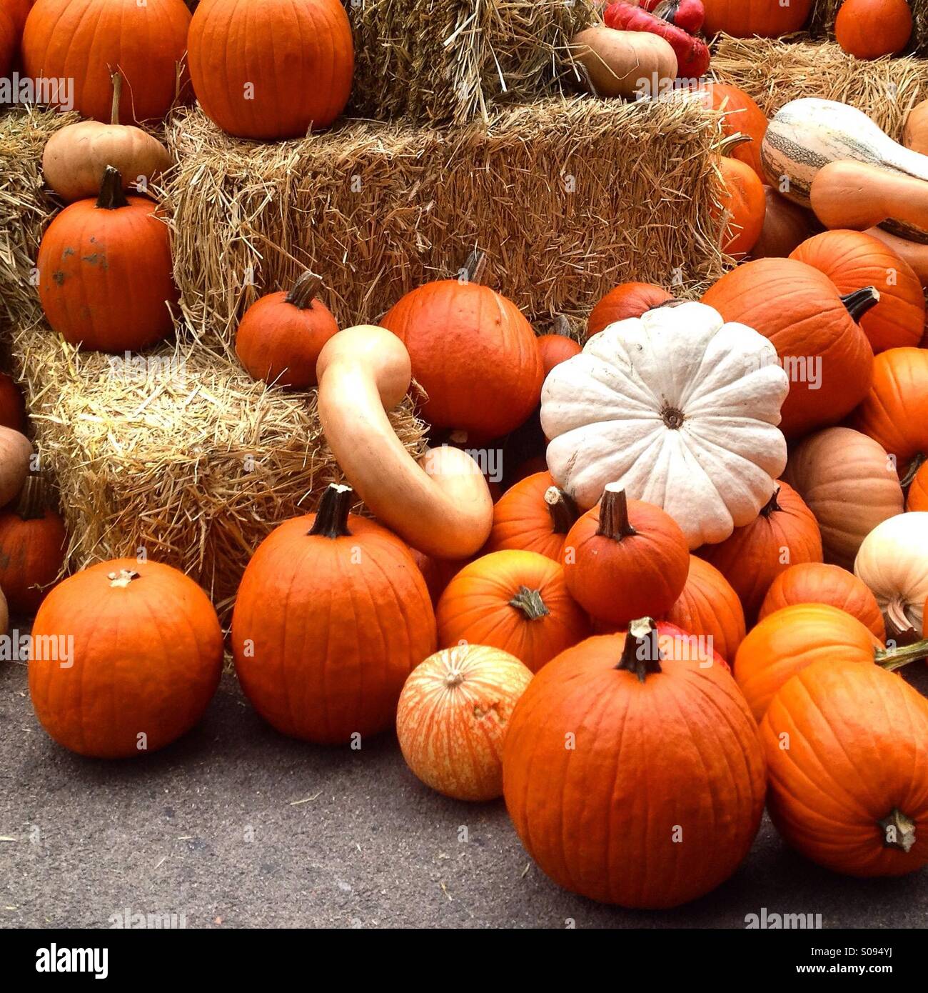 Pumpor hi-res stock photography and images - Alamy