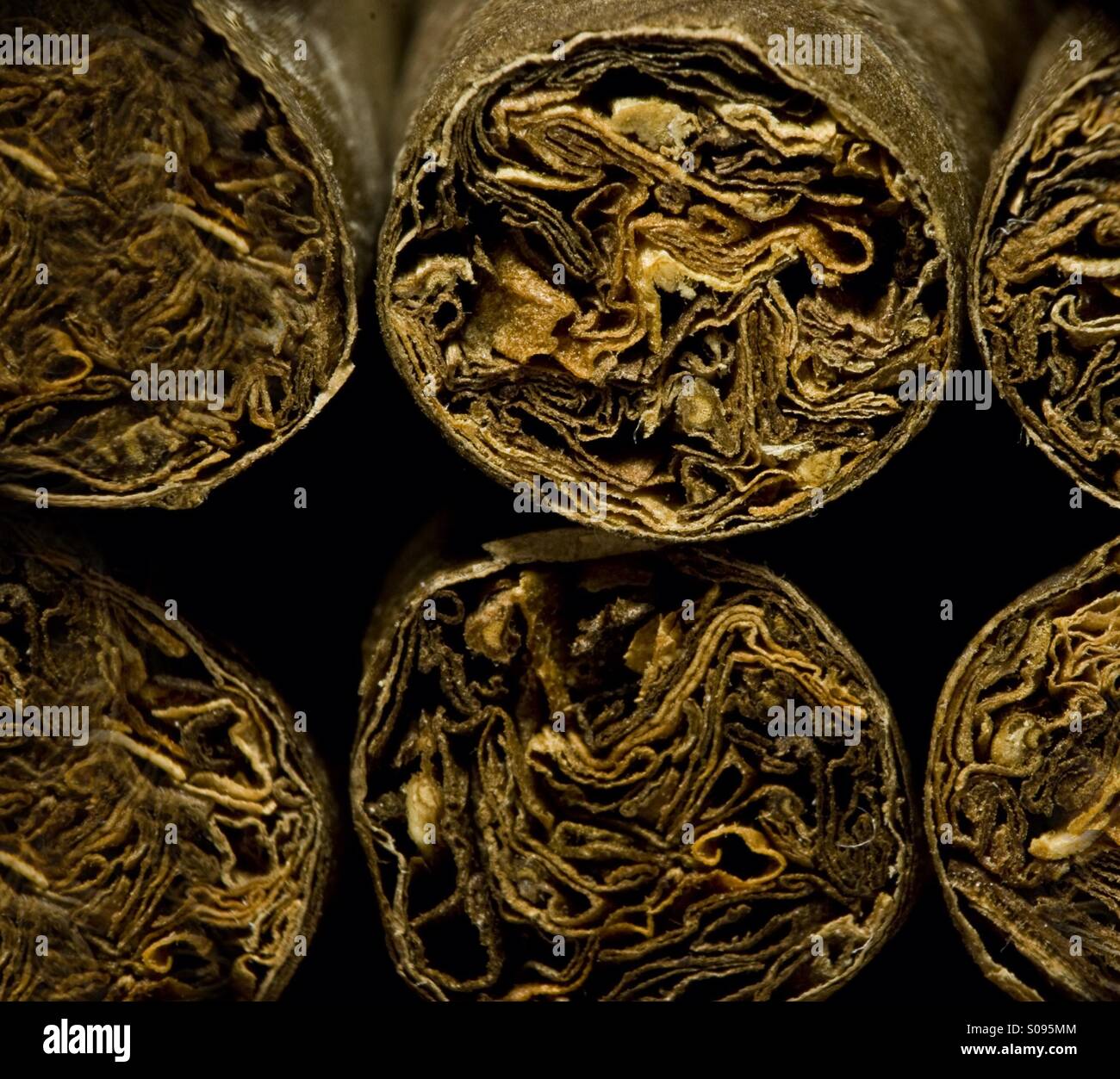 Brown and dry hi-res stock photography and images - Alamy