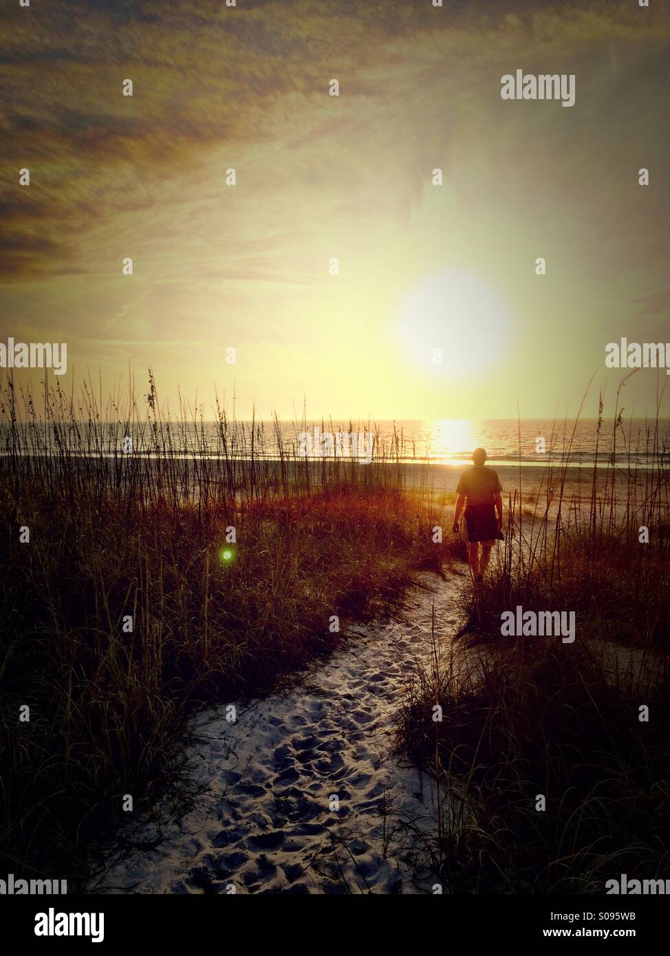 Man walking towards Gulf of Mexico, St Petes Beach, Florida Stock Photo ...